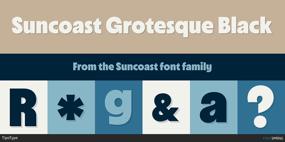 Suncoast Grotesque Black Font