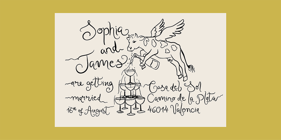 Letters from Madelyn Font