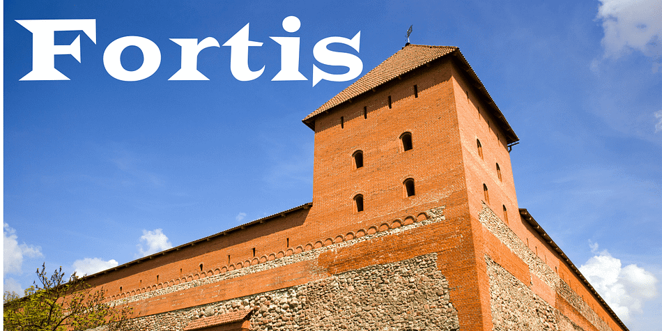 Fortis Font