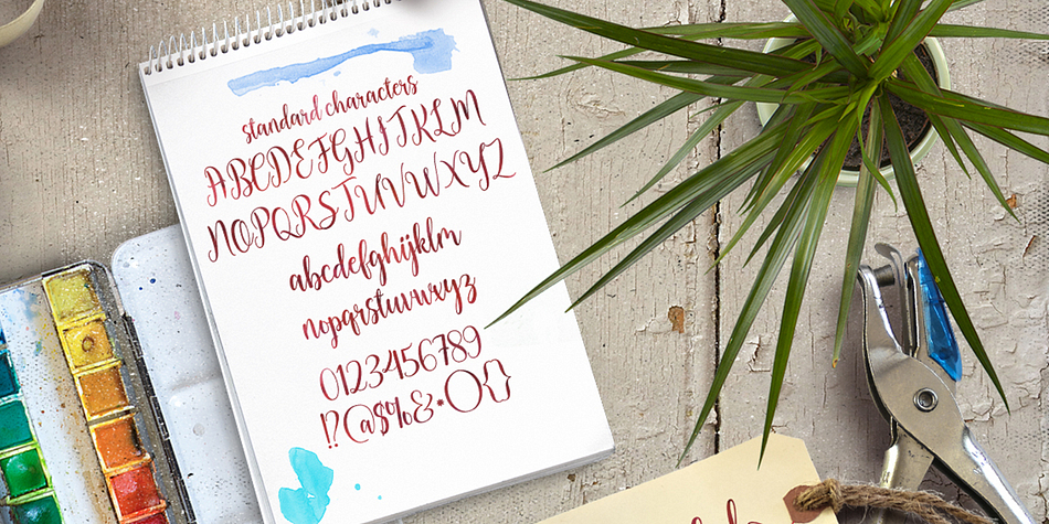 Natalia Script Font