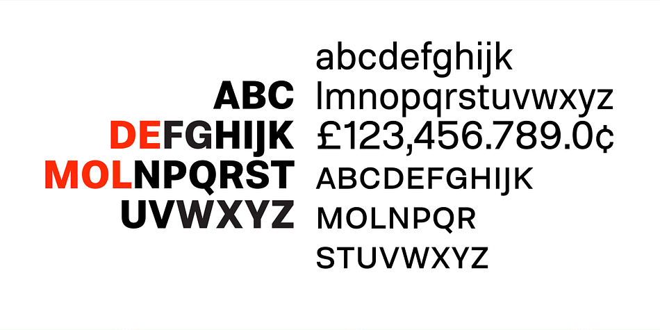 Molde Font