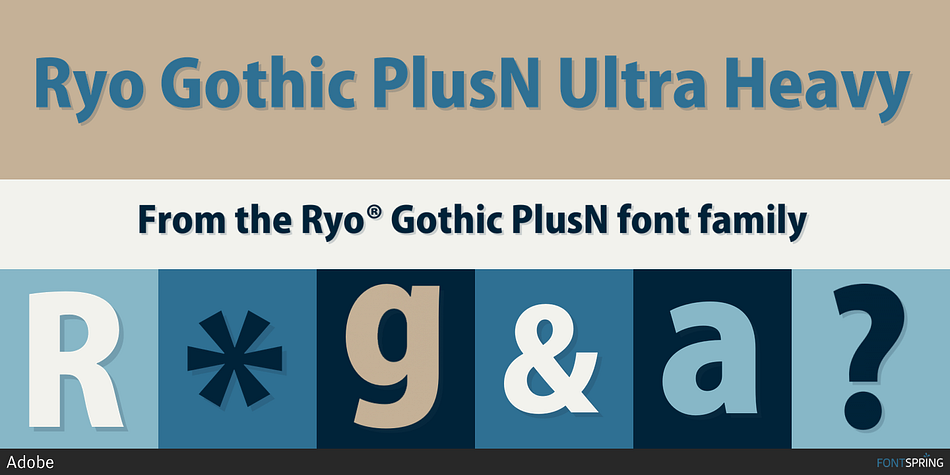 Ryo® Gothic PlusN Font