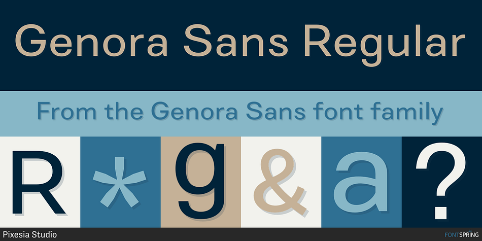 Genora Sans Regular Font