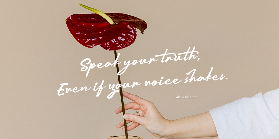 Mount Light Font | Fontspring