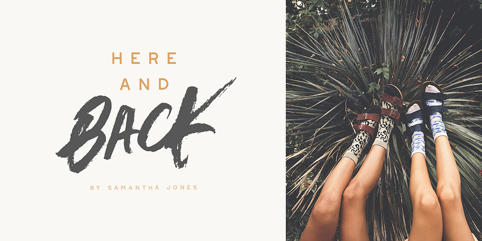 Outback Brush Font Font