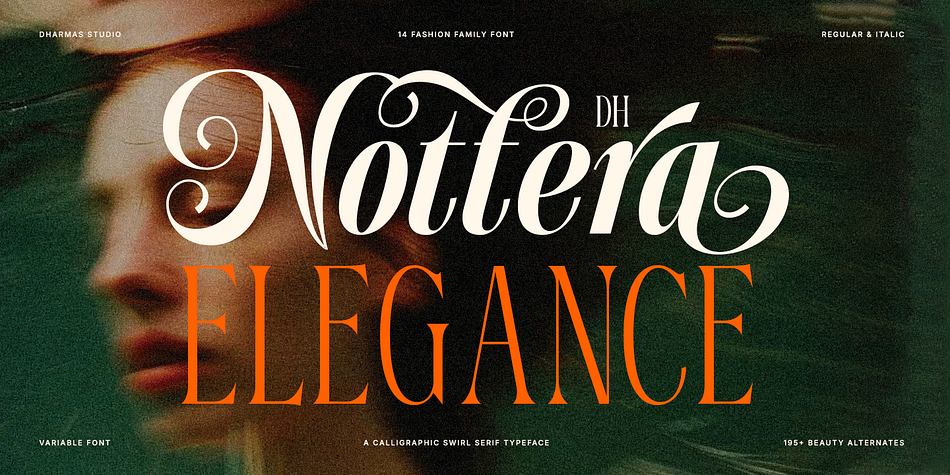 Dh Nottera Elegance Light Italic Font