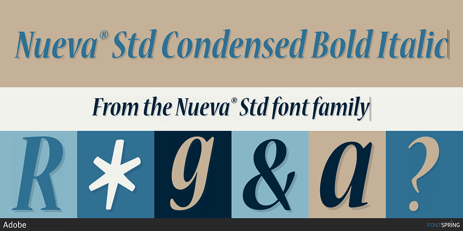 Nueva® Std Font | Fontspring