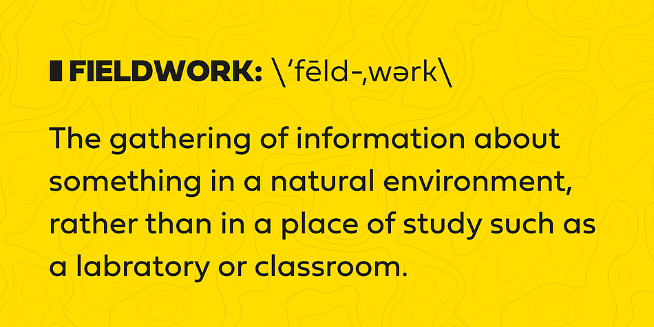 Fieldwork Font