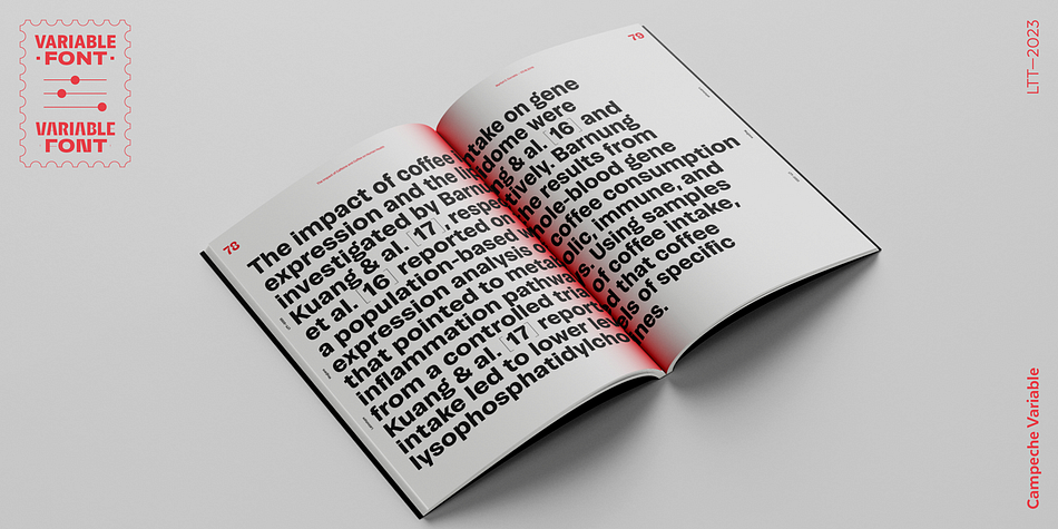 Campeche Variable Font