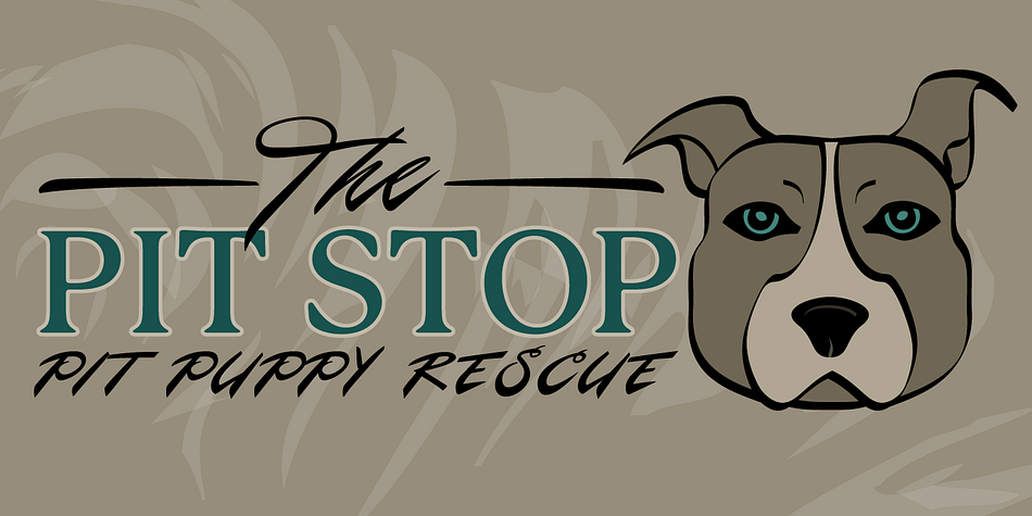 P22 Casual Script Font