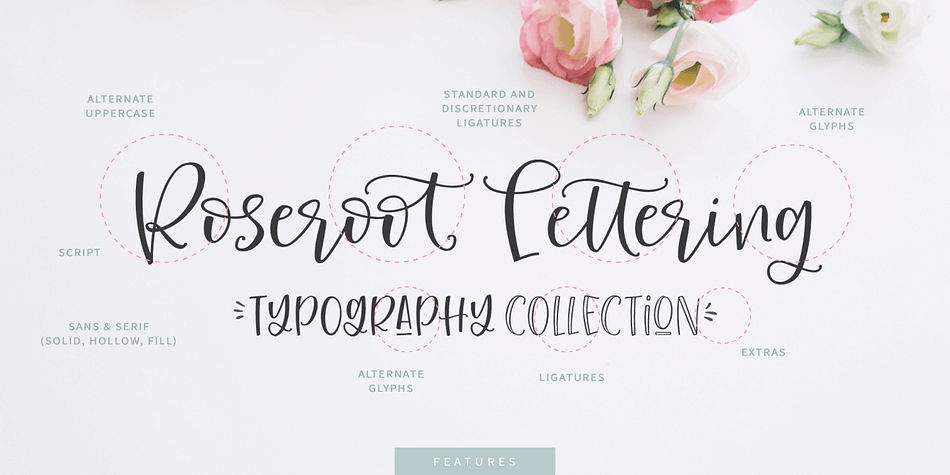 Roseroot Cottage Font Collection Font