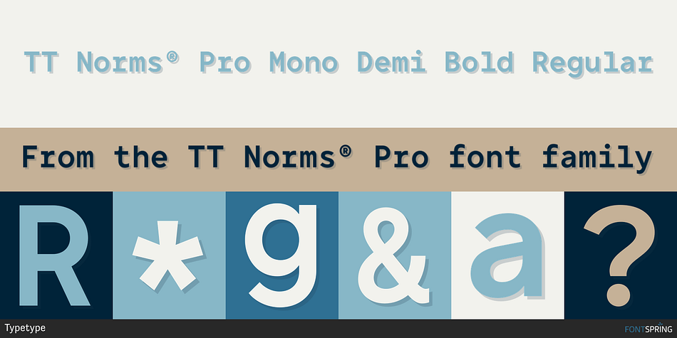 TT Norms® Pro Mono Demi Bold Regular Font
