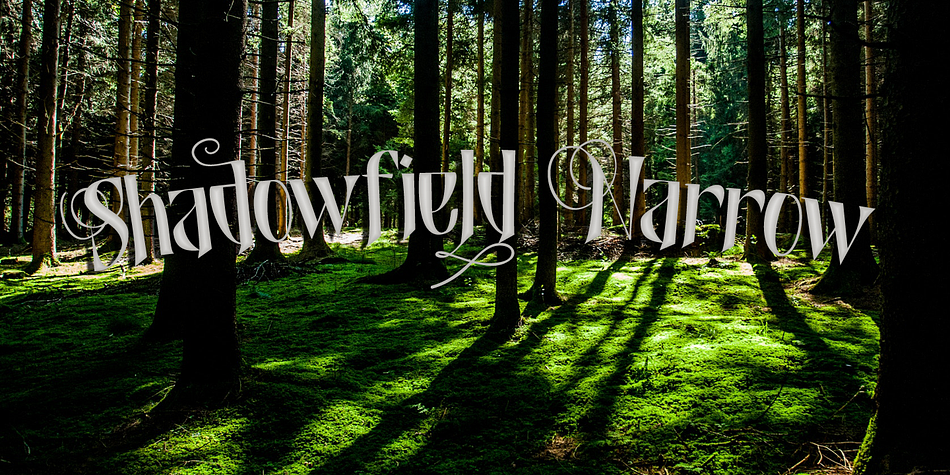 Shadowfield Font