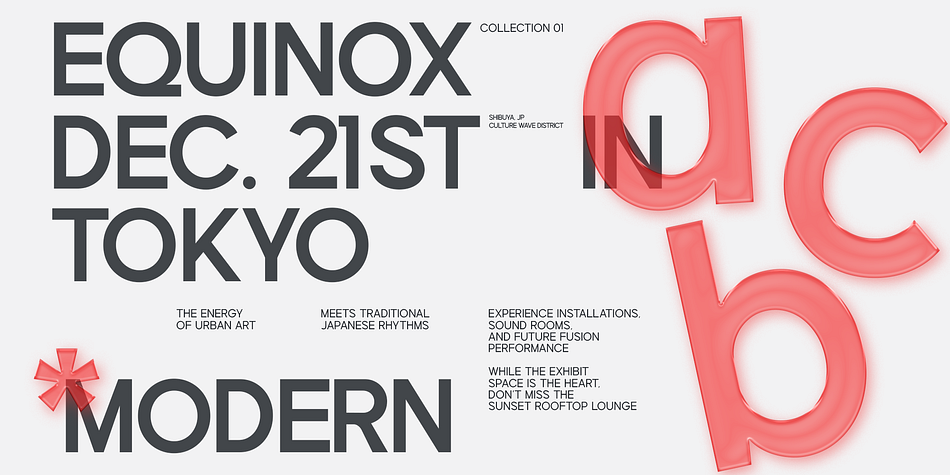 TT Rusthic Grotesque Sans Font