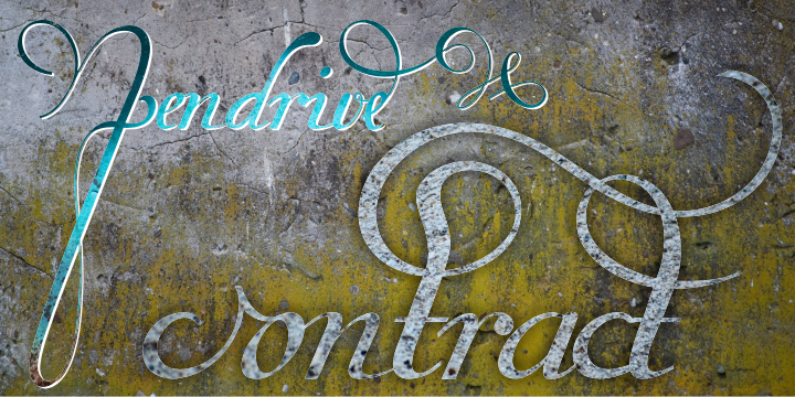 Van den Velde Script Pro Font