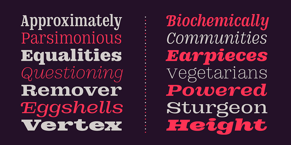 DT Augustina Slab Font