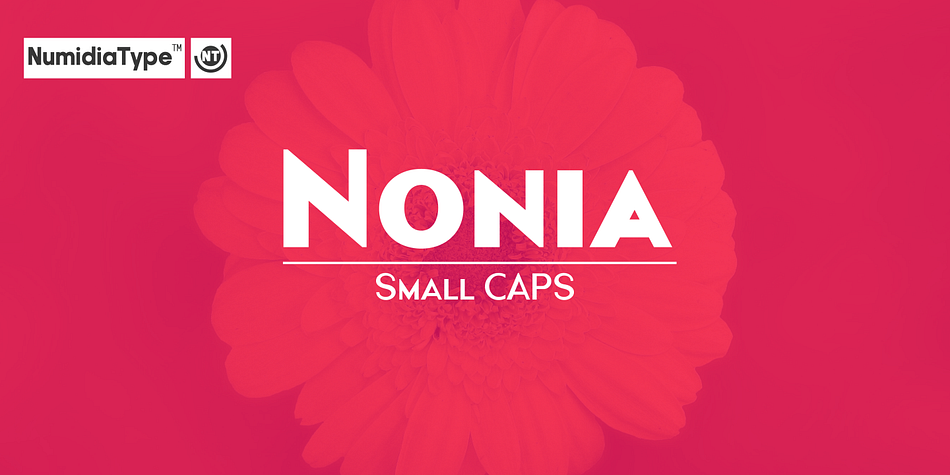Nonia Small CAPS Font
