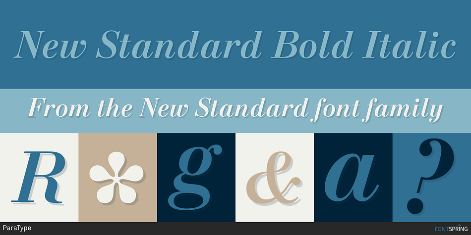 New Standard Font