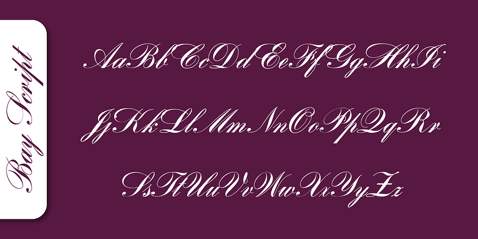 Bay Script Pro Font