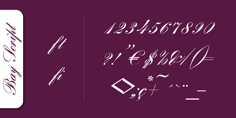 Bay Script Pro Font