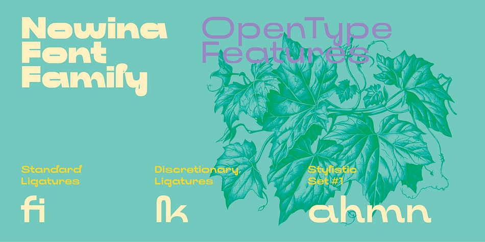 Nowina Font
