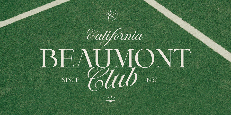 Stallion Font Duo Font