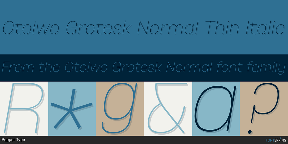 Otoiwo Grotesk Normal Thin Italic Font