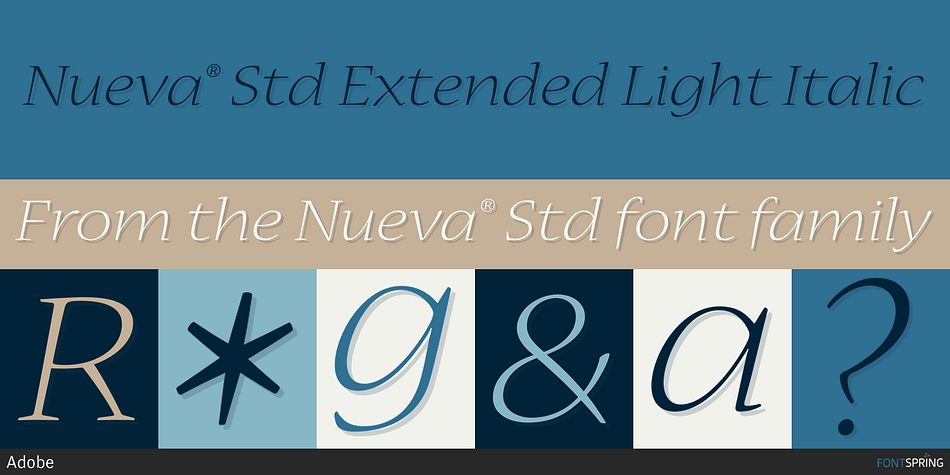 Nueva® Std Font | Fontspring