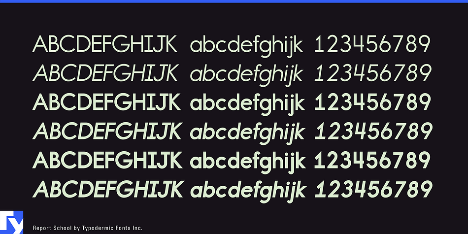 Report School Font Family by Typodermic Fonts Inc.