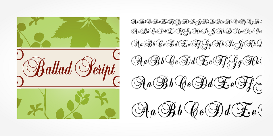 Ballad Script Pro Font Family by SoftMaker - Fontspring