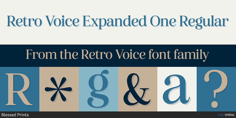 Retro Voice Expanded One Regular Font