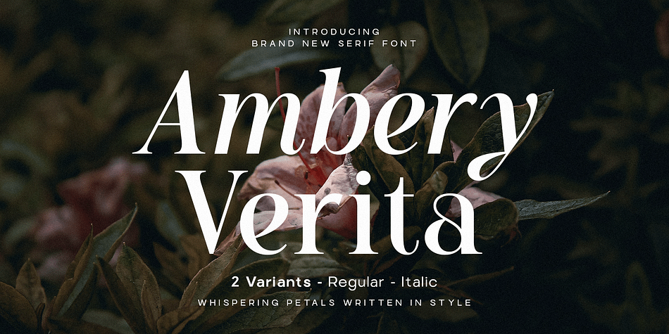 Ambery Verita Font