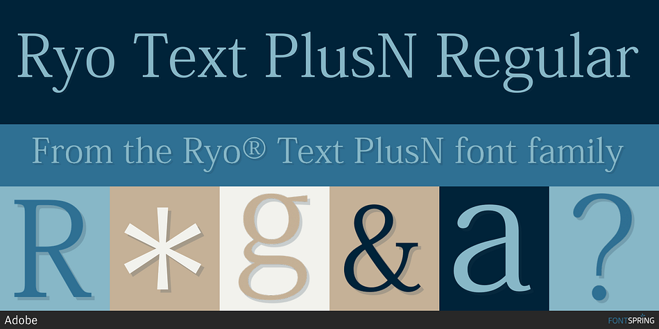Ryo® Text PlusN Font