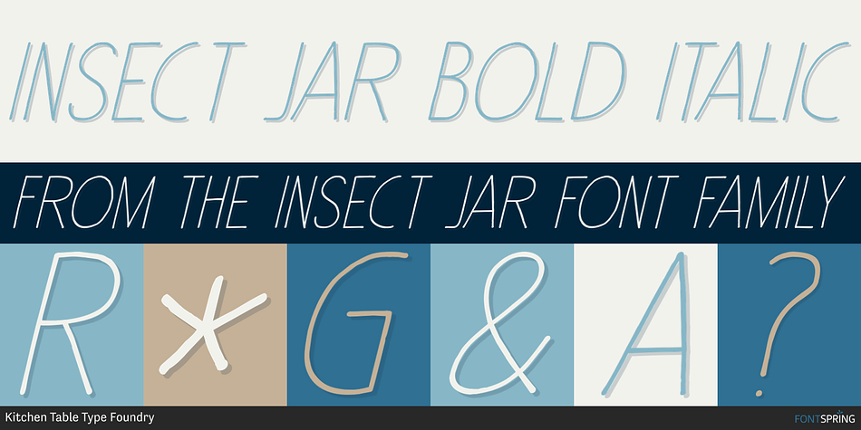 Insect Jar Bold Italic Font