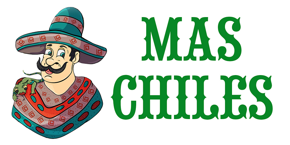 Tex Mex Font Family by FontMesa - Fontspring