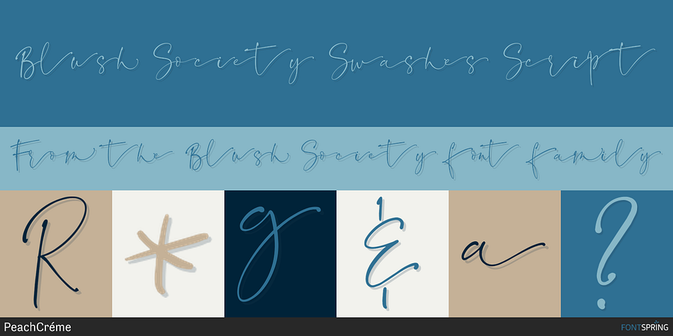 Blush Society Swashes Script Font