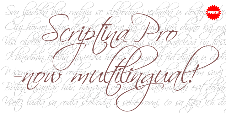 Scriptina Pro Font