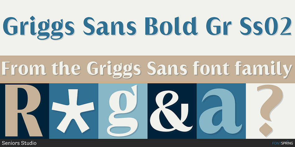 Griggs Sans Bold Gr Ss02 Font