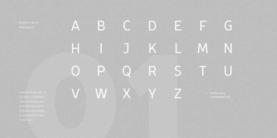 TT Prosto Sans Condensed Font