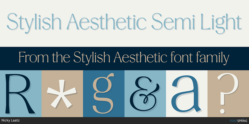 Stylish Aesthetic Semi Light Font