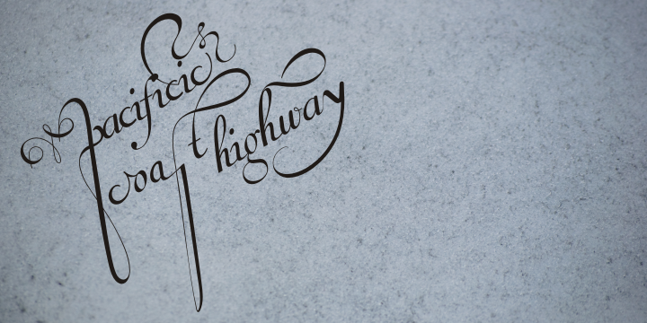 Van den Velde Script Pro Font