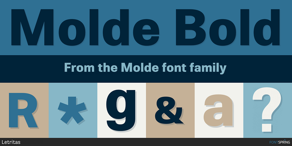 Molde Bold Font
