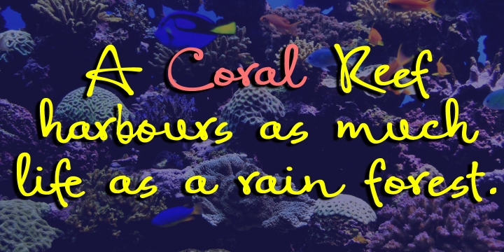 Coral Font | Fontspring