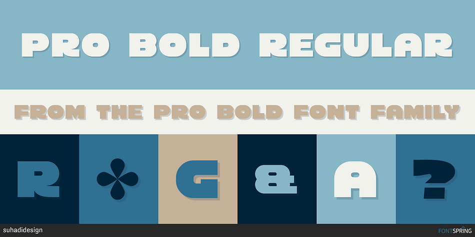 Pro Bold Font