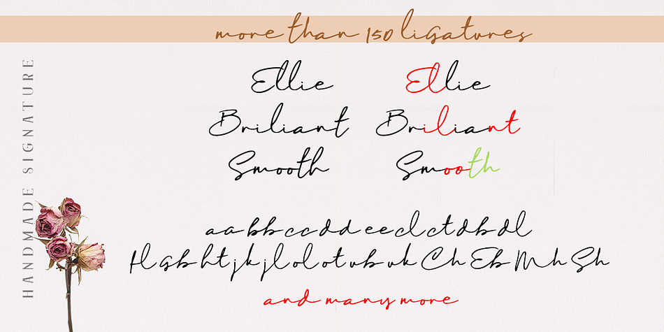 Maddison Font | Fontspring