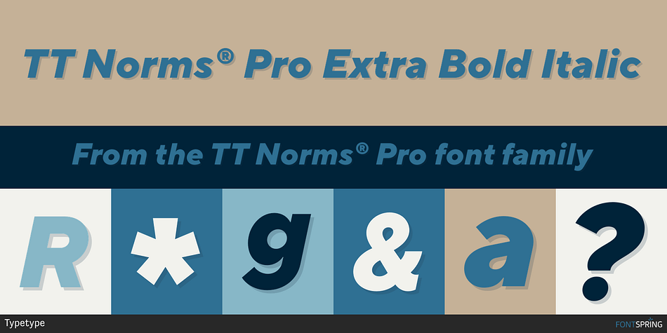 TT Norms® Pro Extra Bold Italic Font