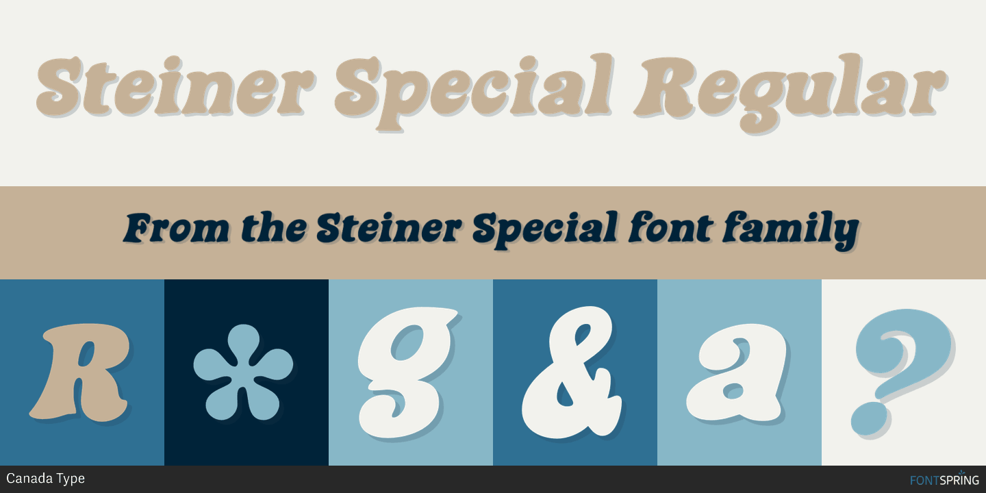 Steiner Special Font