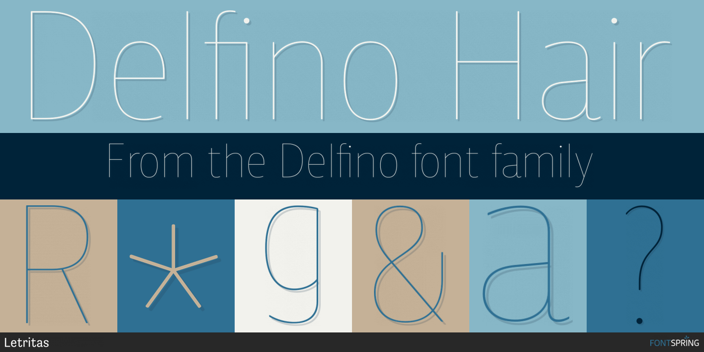Fonts similar to Delfino