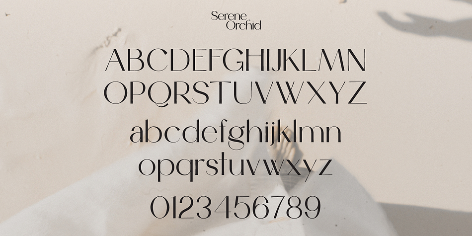 Serene Orchid Font