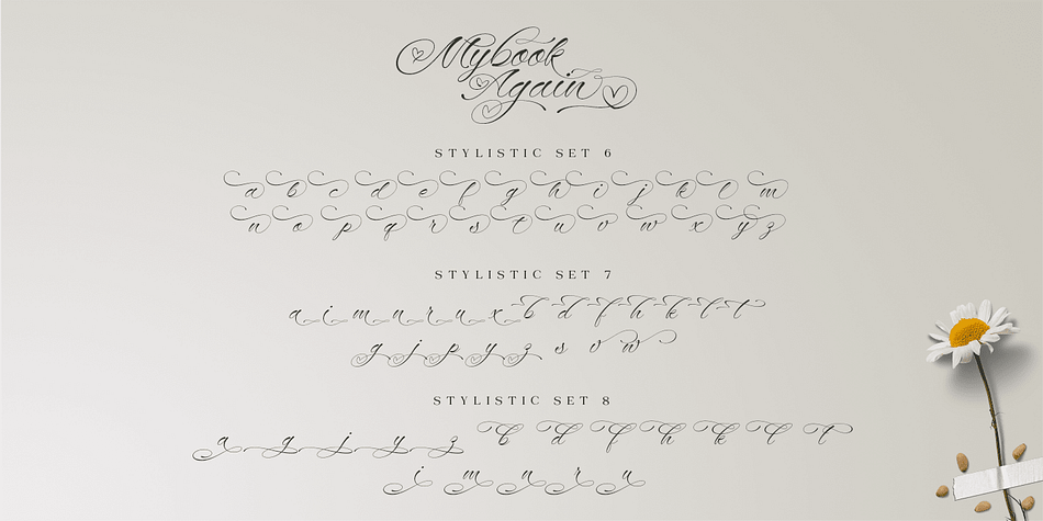 Mybook Again Font